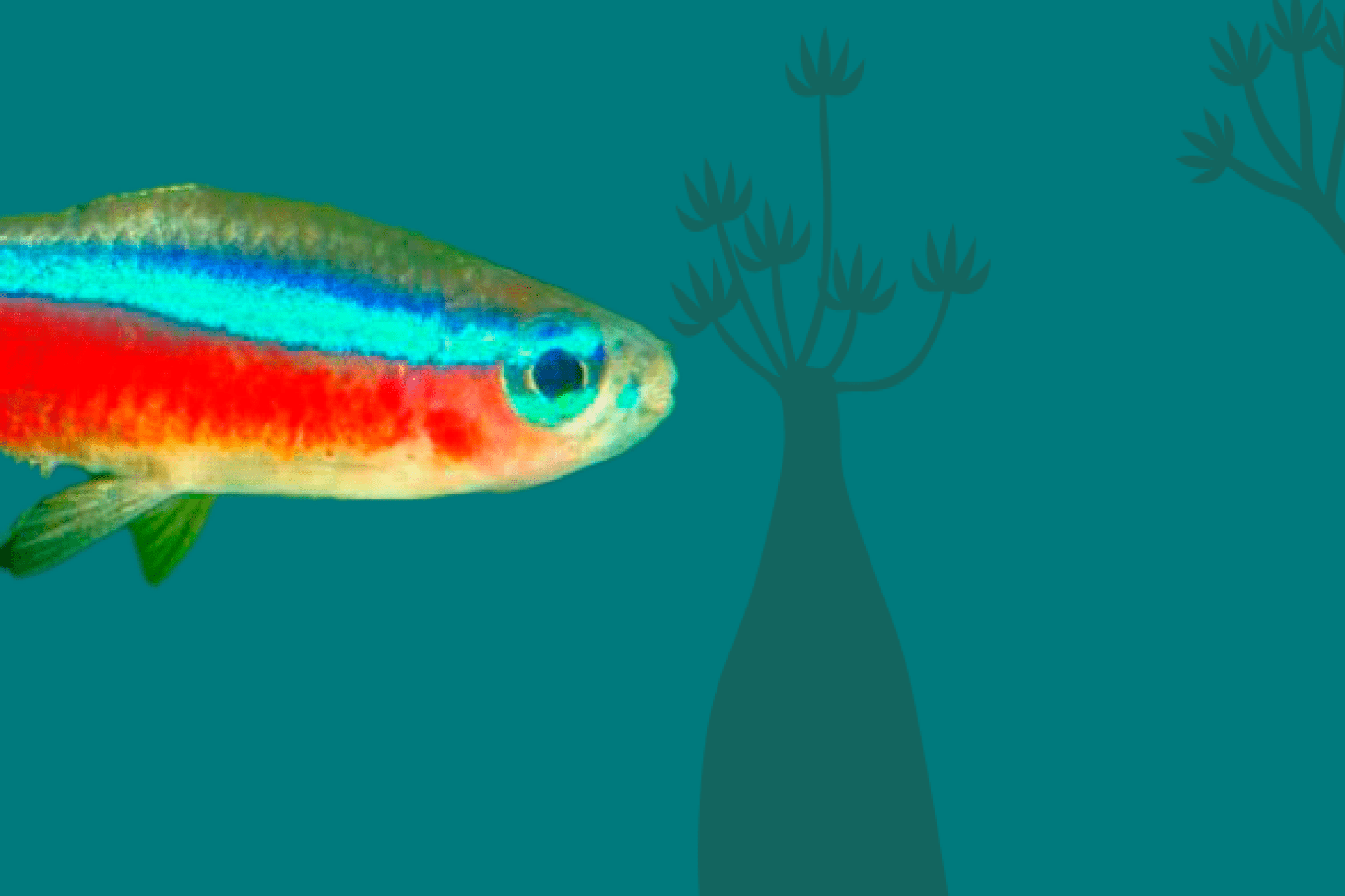 Explore Exhibits - Peoria Zoo