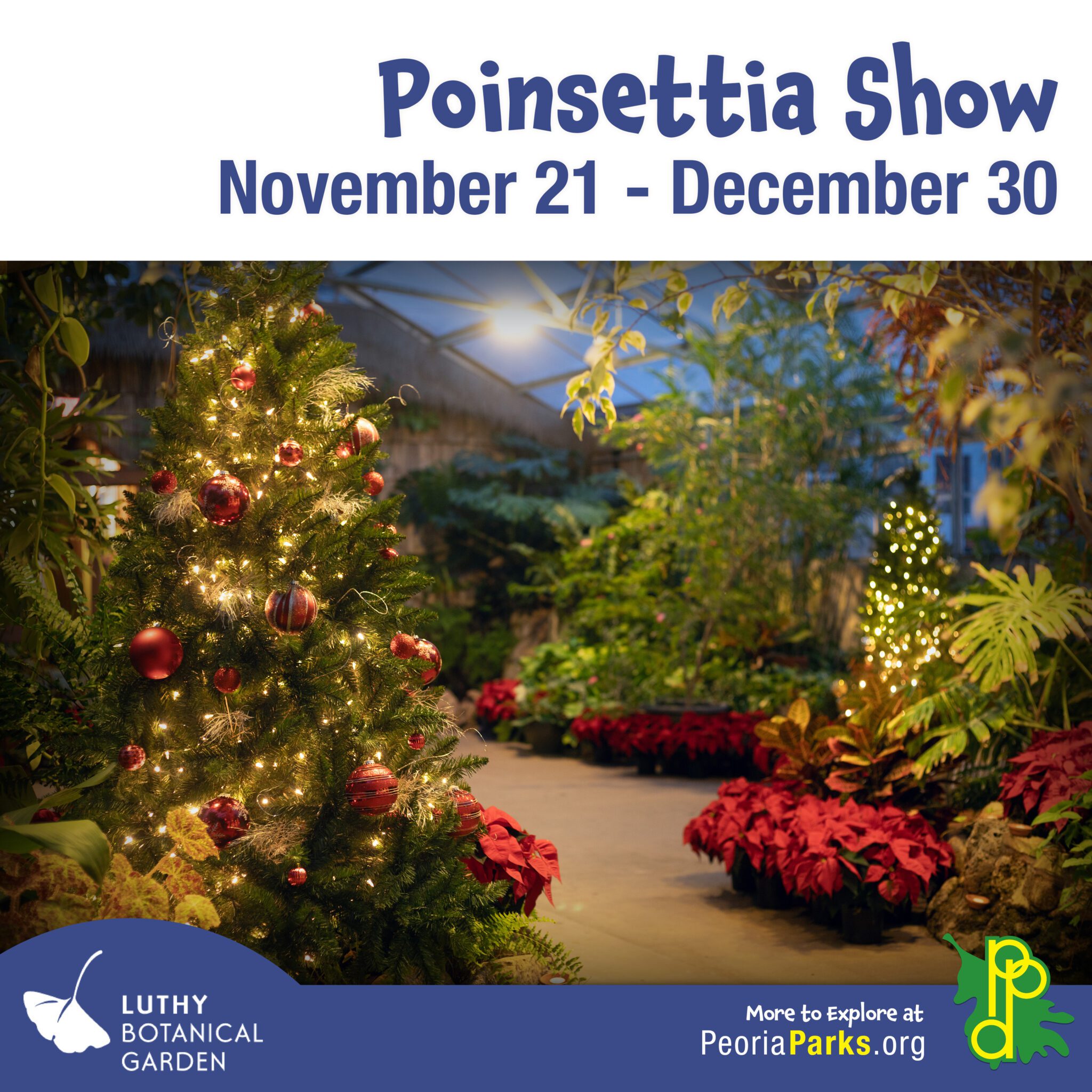 Poinsettia Show - Peoria Zoo